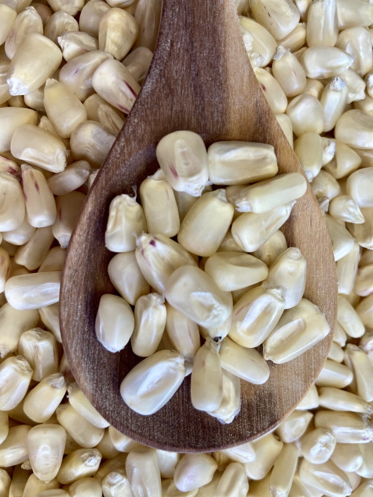 Products - Millstone Mills Inc.